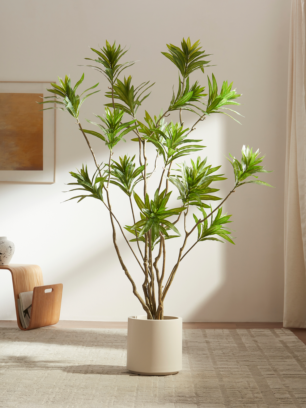 Reflexa Elegance – Rootless Plants