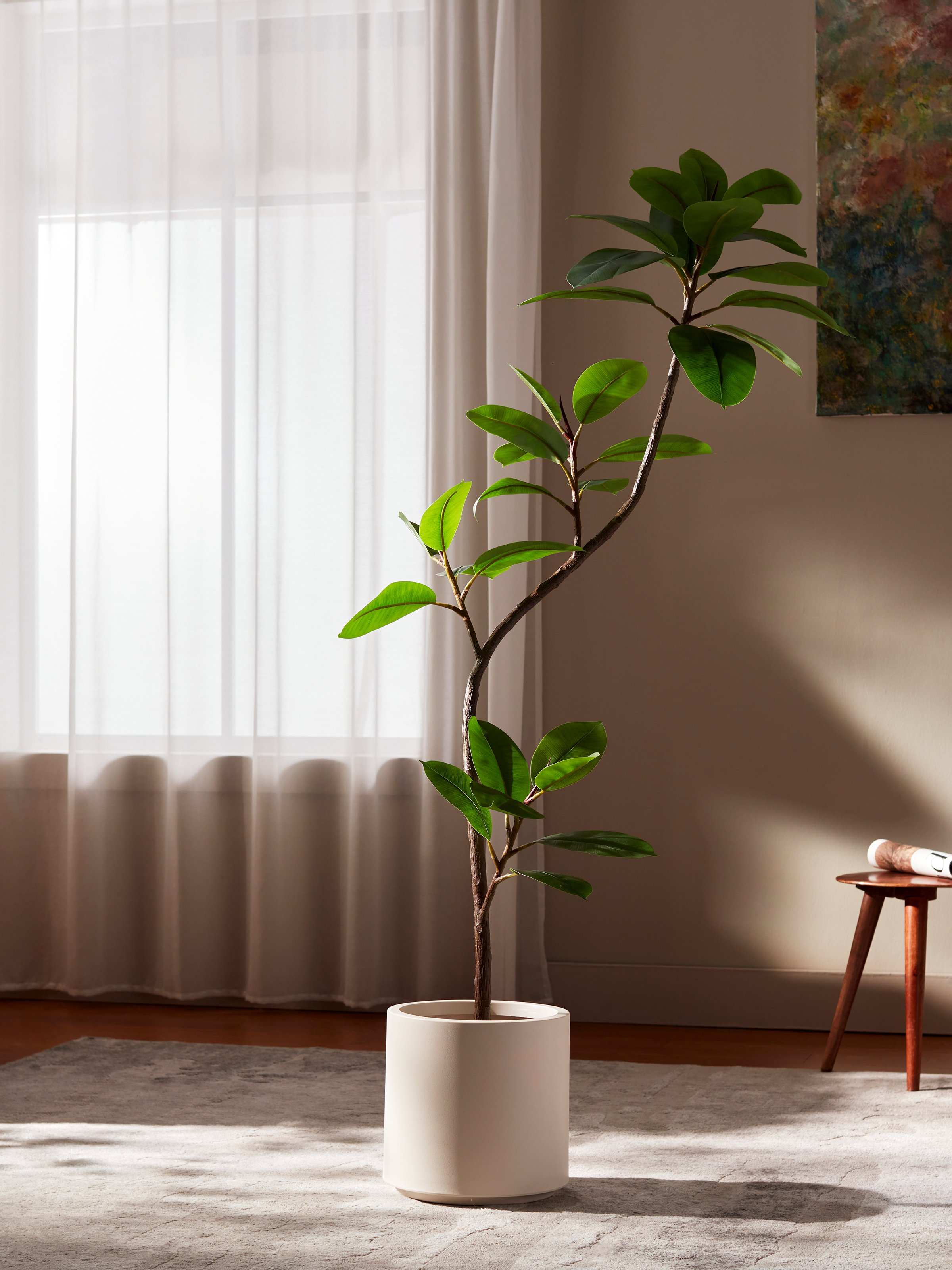 Sacred Ficus - Realistic Faux Ficus Tree | Rootless Plants