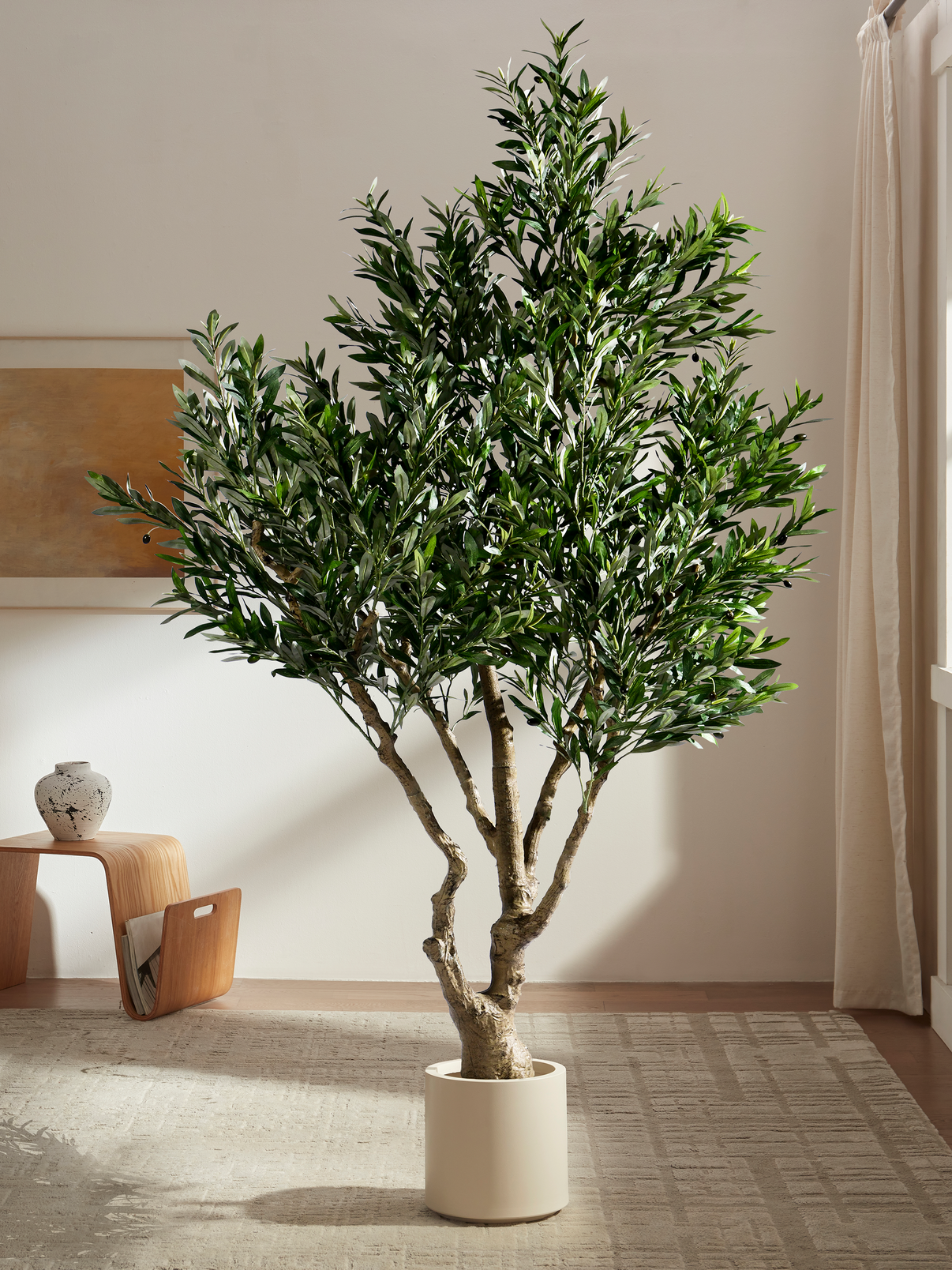 Tuscan Olive Lush – Rootless Plants